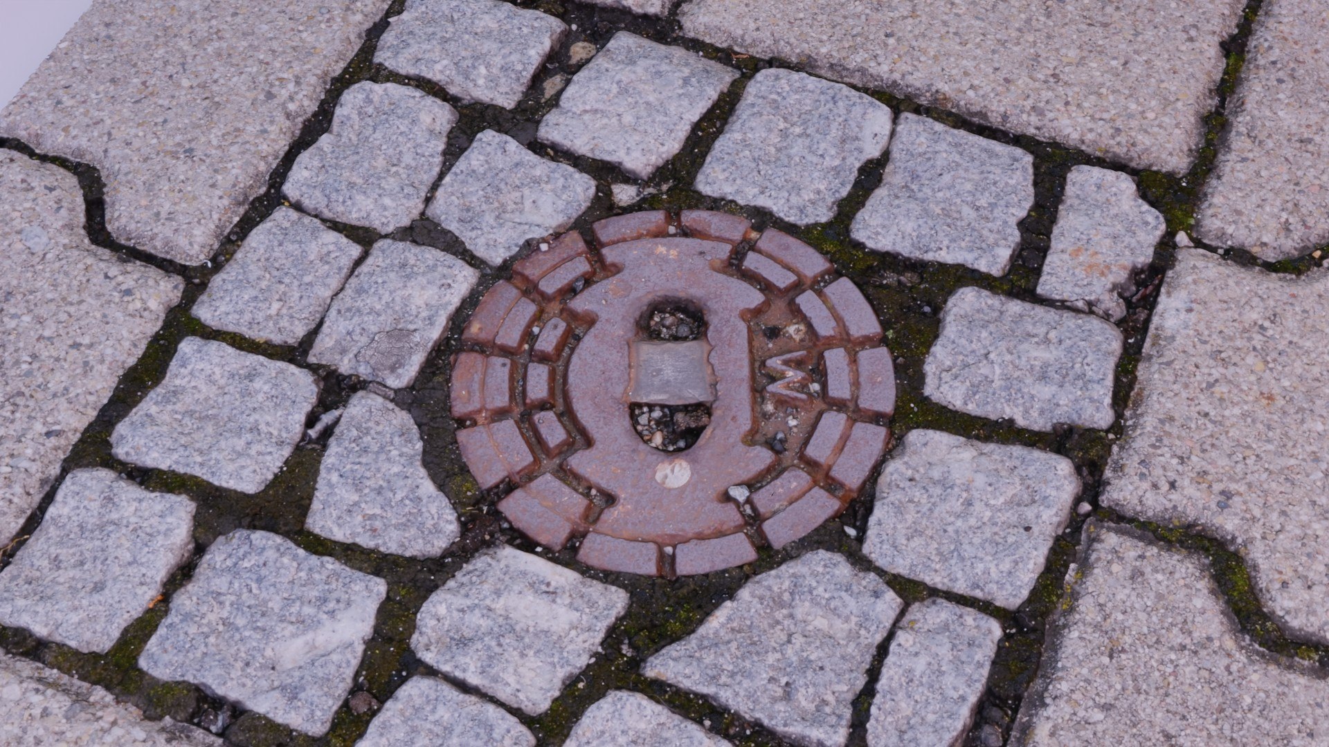 Hydrant Street Cover 02 High-poly 3D Model 3D - TurboSquid 1954352