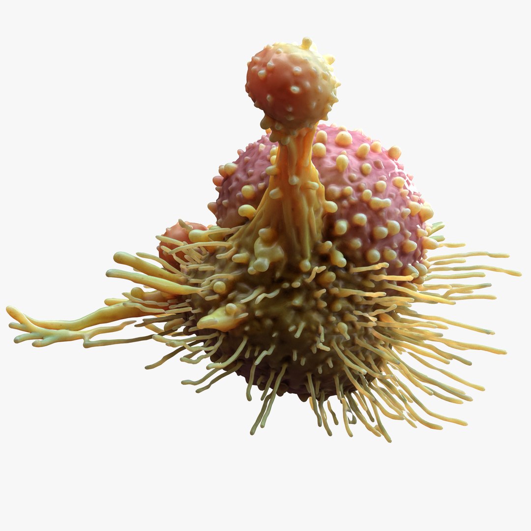Cancer Cell Tumor 3D Model - TurboSquid 2403794