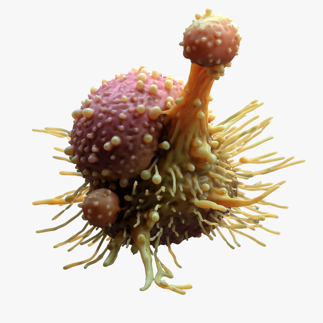 Cancer Cell Tumor 3D Model - TurboSquid 2403794