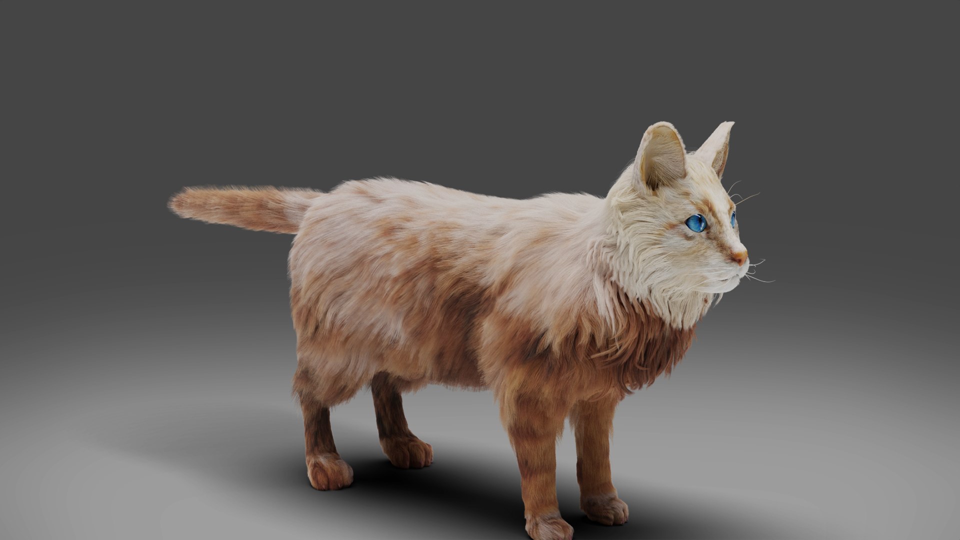3D Fur Cat White V2 Rigged And Animated - TurboSquid 1981420