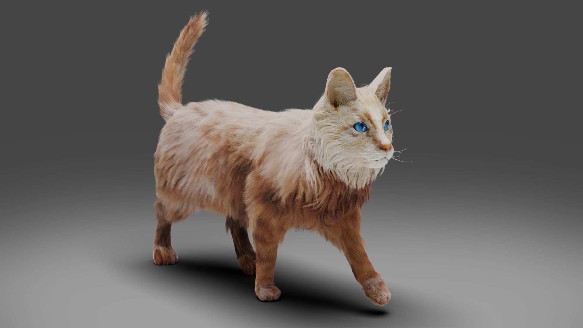 3D Fur Cat White V2 Rigged And Animated - TurboSquid 1981420