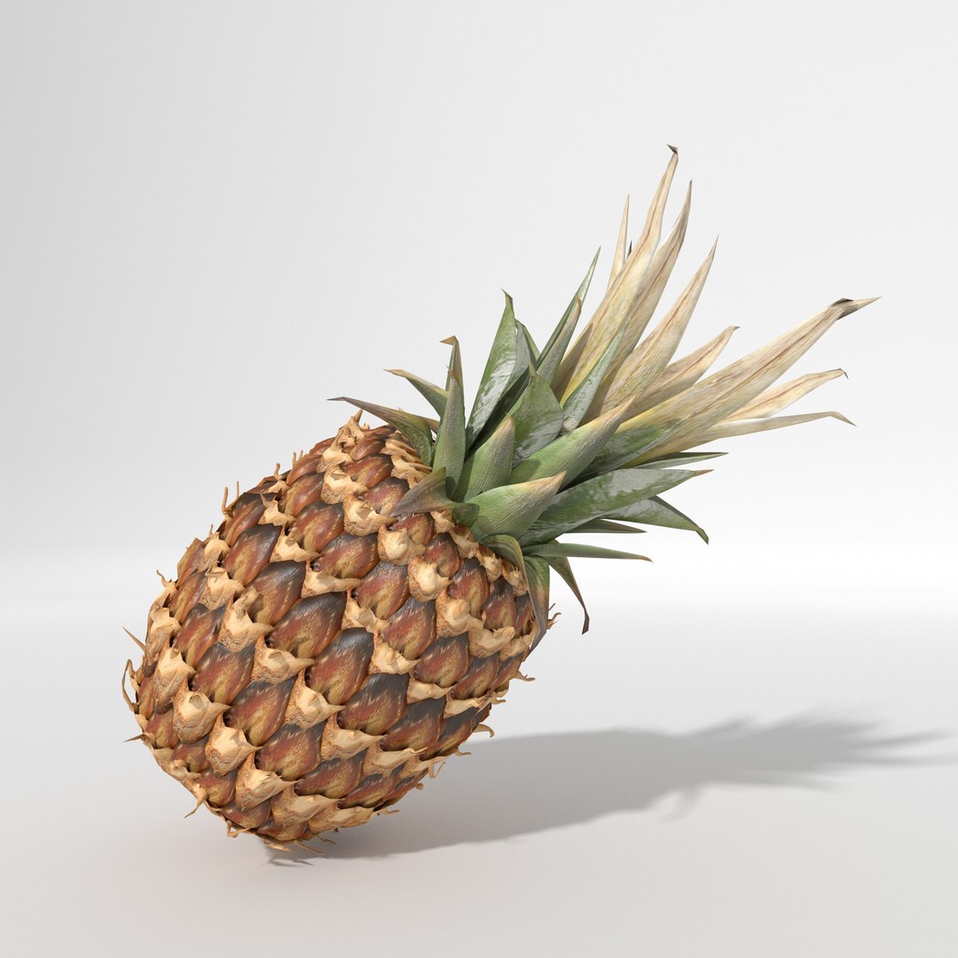3d Realistic Pineapple Model