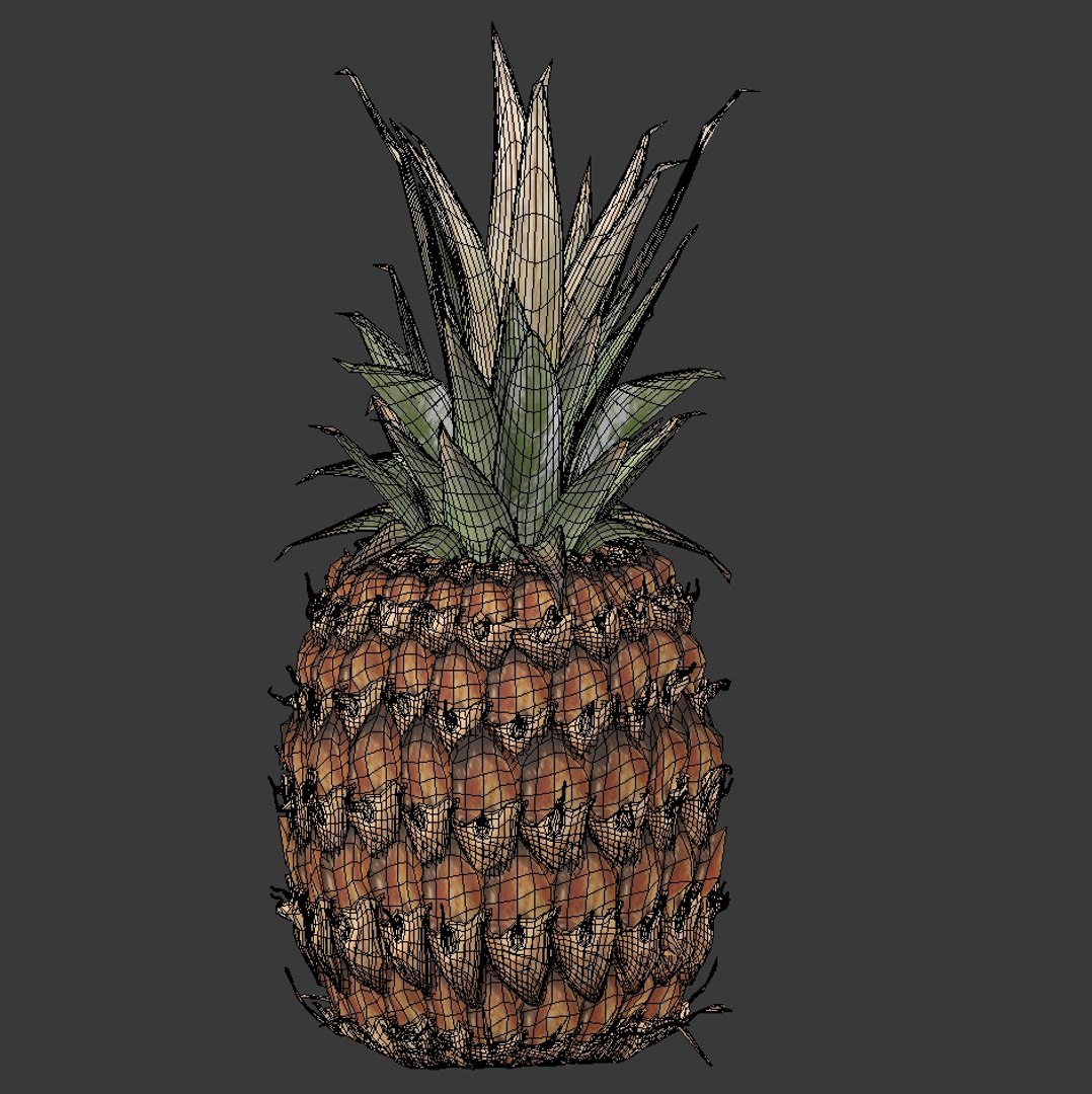 3d Realistic Pineapple Model