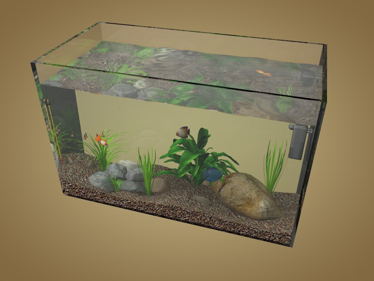 Fishes Aquarium 3D Model - TurboSquid 1166942