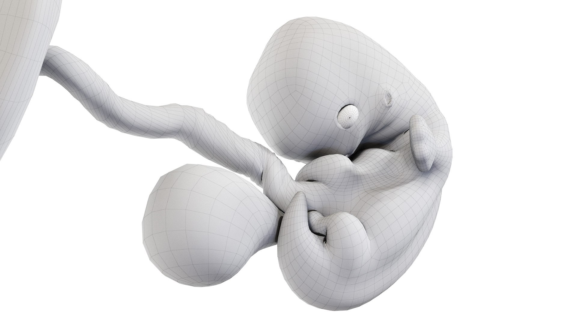 3D Fetus Week 7 Animated - TurboSquid 1866838