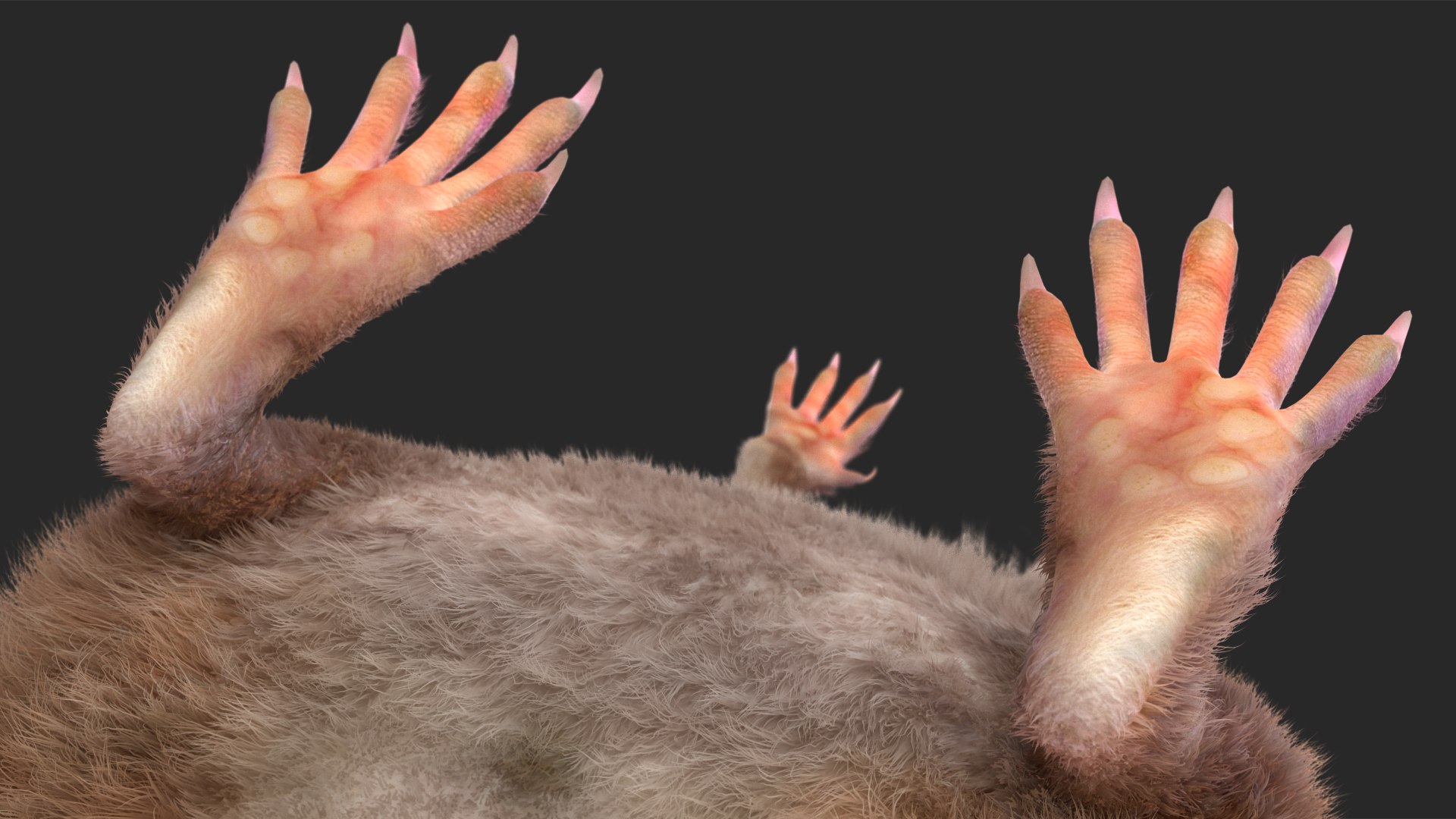 Shrew Standing Pose Fur Model - TurboSquid 2164147