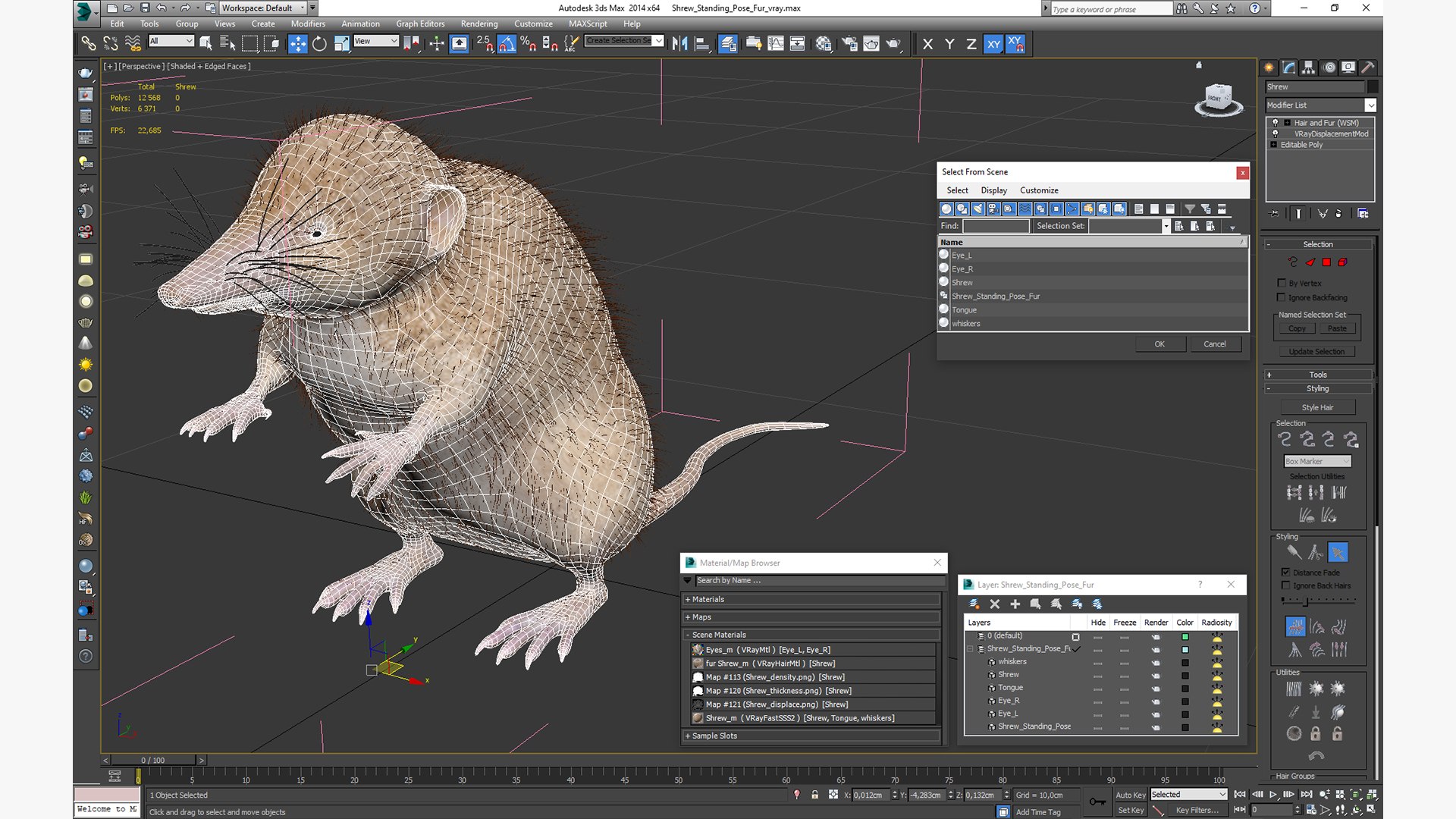 Shrew Standing Pose Fur Model - TurboSquid 2164147