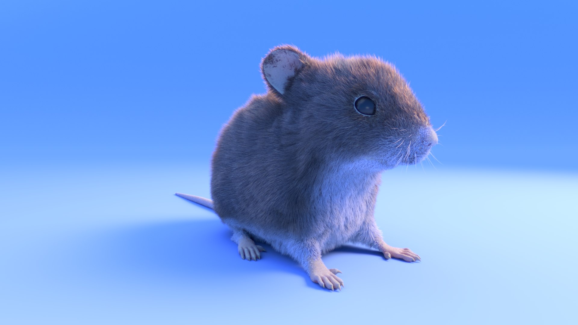 3D Realistic Mouse Xgen Fur - TurboSquid 1337411