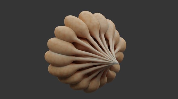 modèle 3D de Anatomie de la glande mammaire - TurboSquid 1988031
