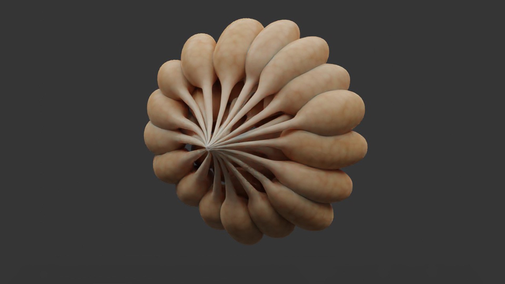3D Mammary Gland Anatomy - TurboSquid 1988031