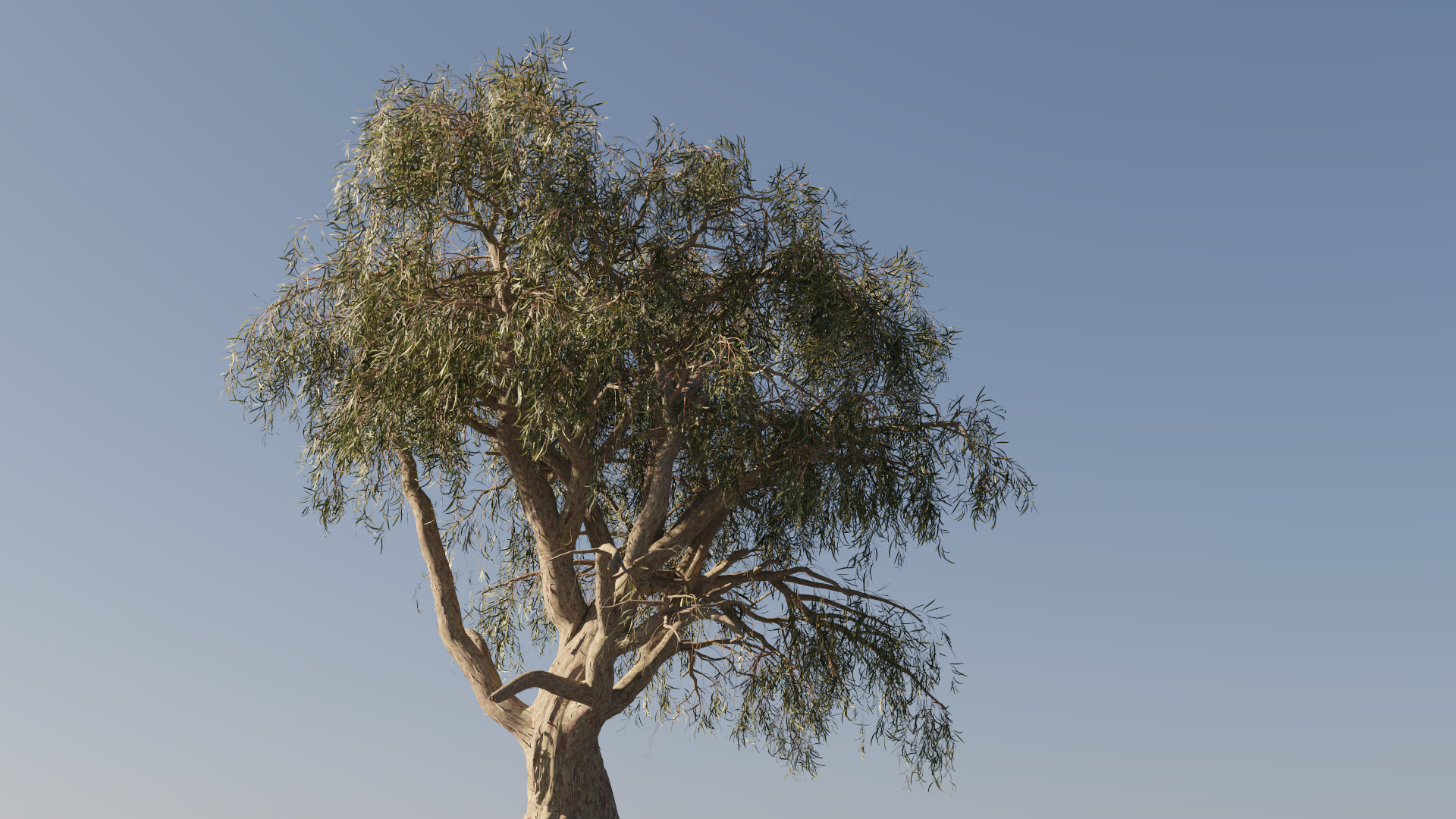 3D Peppermint Animated Tree - TurboSquid 2252931