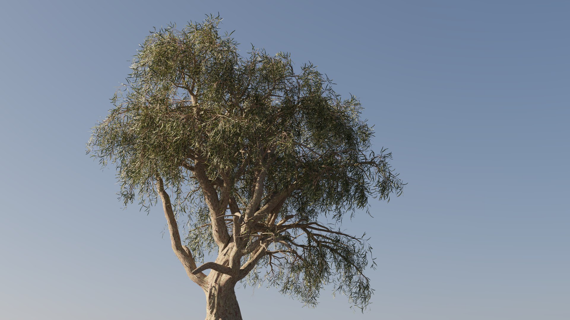 3D Peppermint Animated Tree - TurboSquid 2252931