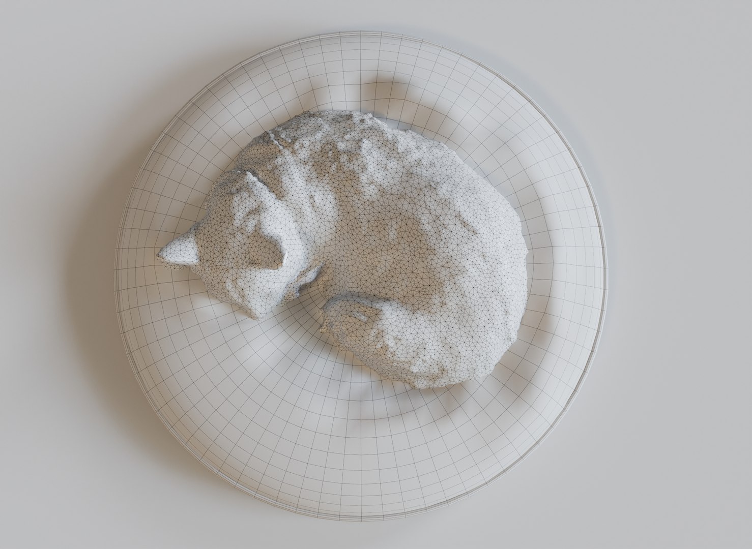 Cat Sleeping On A Pillow 3d Scan Model - TurboSquid 1993295