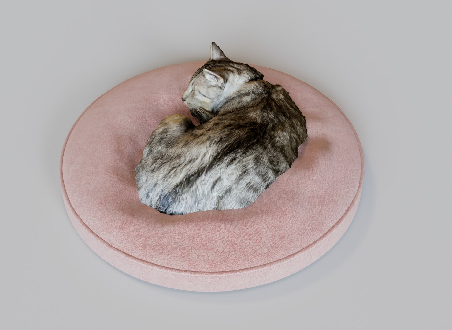 Cat Sleeping On A Pillow 3d Scan Model - TurboSquid 1993295