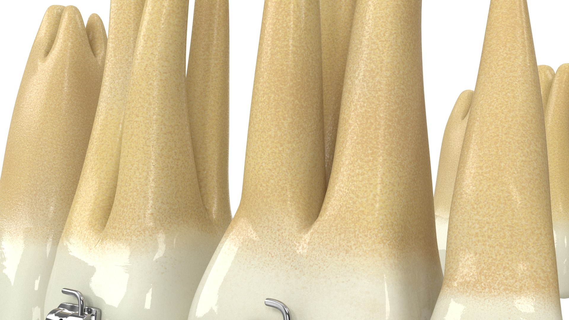 3D Human Teeth With Self Ligating Steel Dental Braces V03 - TurboSquid ...