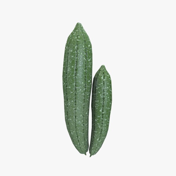 modelo 3d Luffa medieval - TurboSquid 2323090