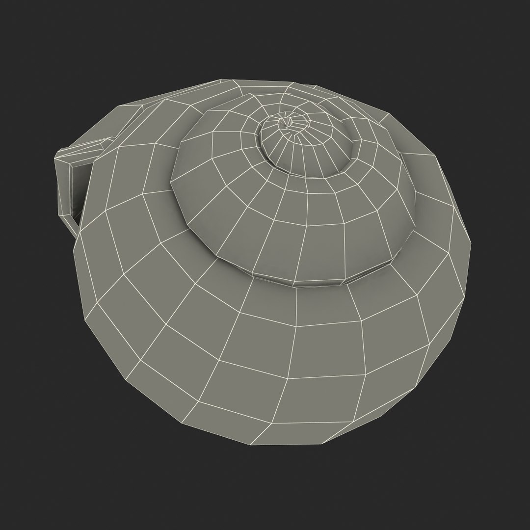 3d model snail shell