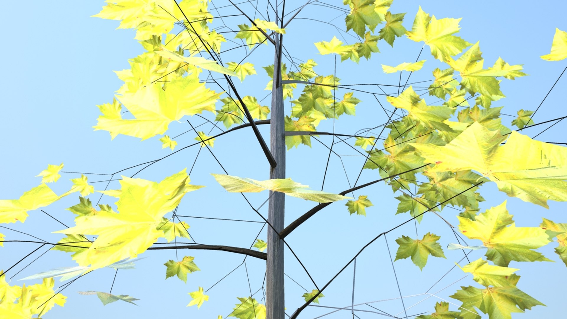 tree leaf 3d obj