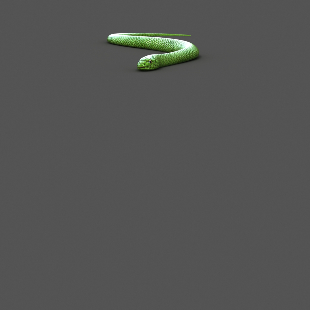 Snake Rigged 3d Model