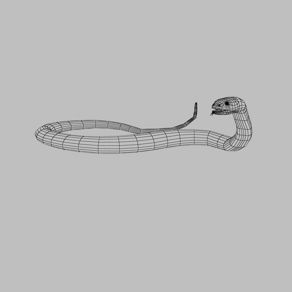 snake rigged 3d model