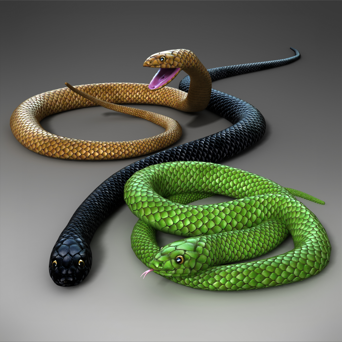 snake rigged 3d model