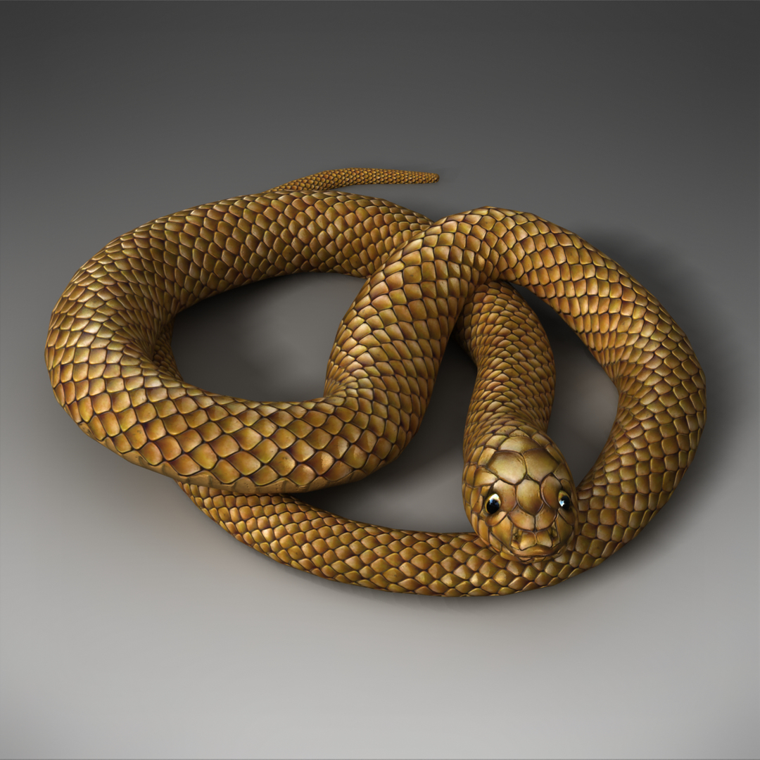 snake rigged 3d model