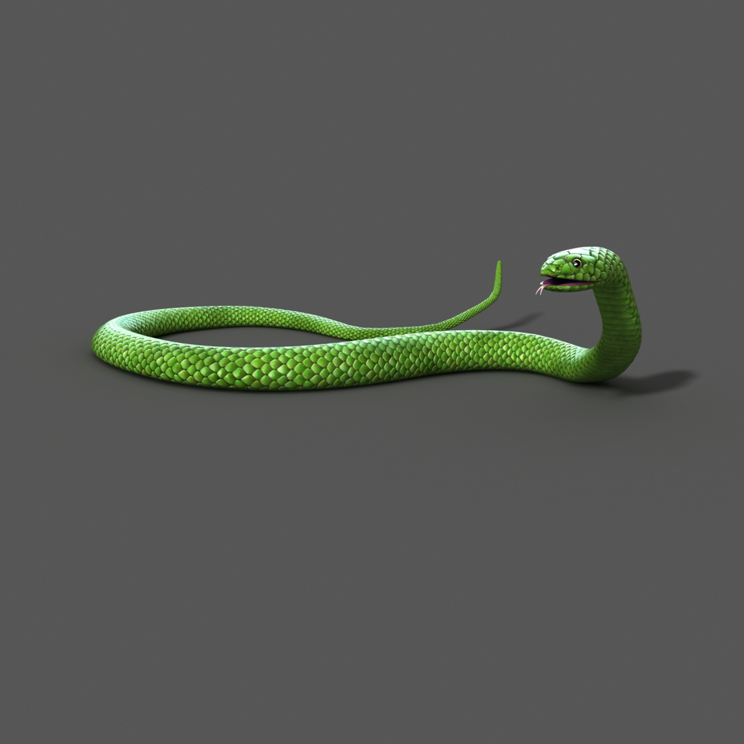 Snake Rigged 3d Model
