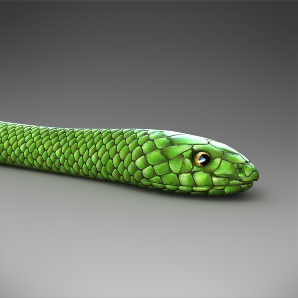 snake rigged 3d model