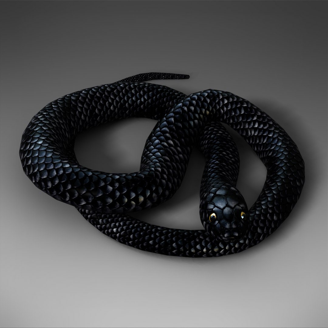 Snake Rigged 3d Model