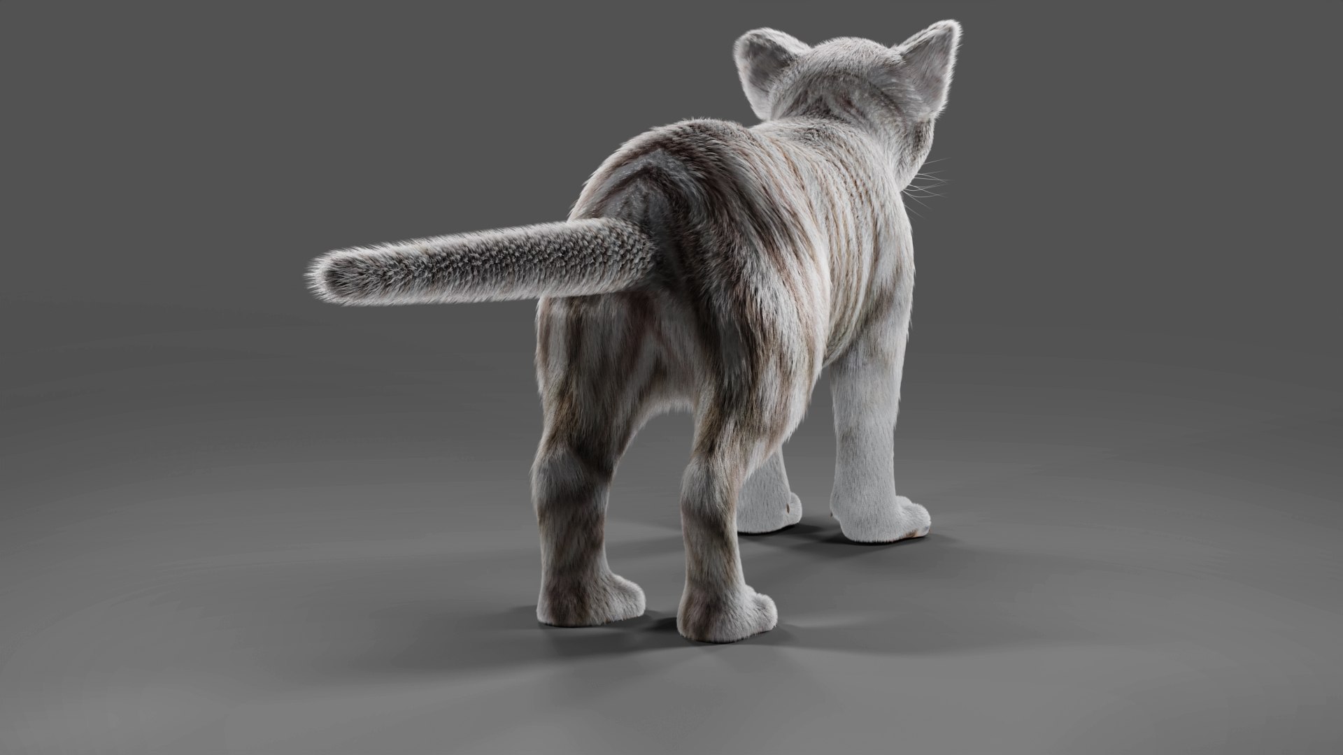 Fur White Tiger Cub Rigged in Blender model - TurboSquid 2028331