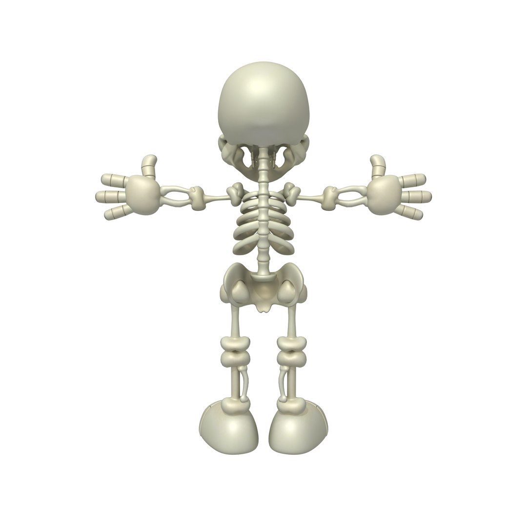 3D Cartoon Skeleton - TurboSquid 1669277