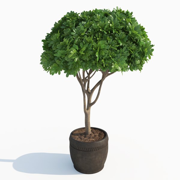 3d modern decorative tree 2 model
