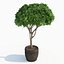 3d Modern Decorative Tree 2 Model