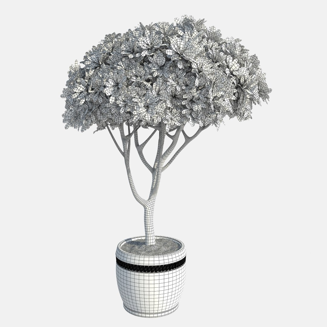3d Modern Decorative Tree 2 Model