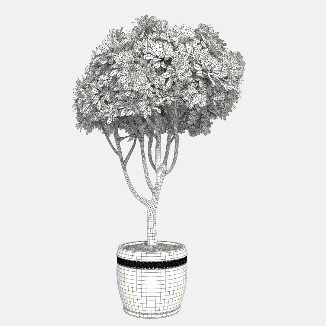 3d Modern Decorative Tree 2 Model