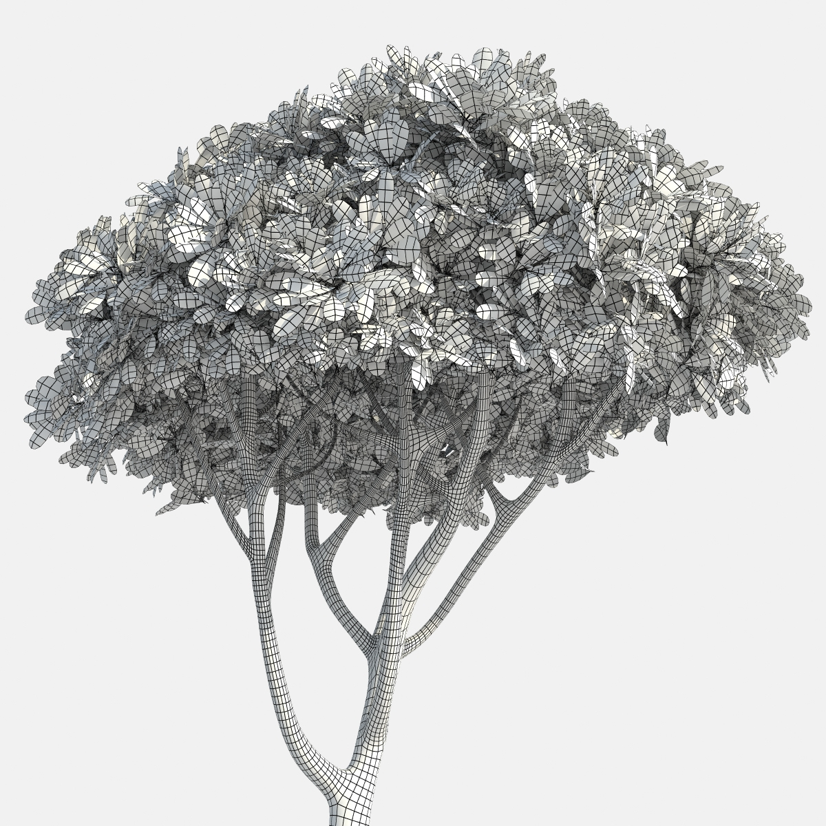 3d modern decorative tree 2 model