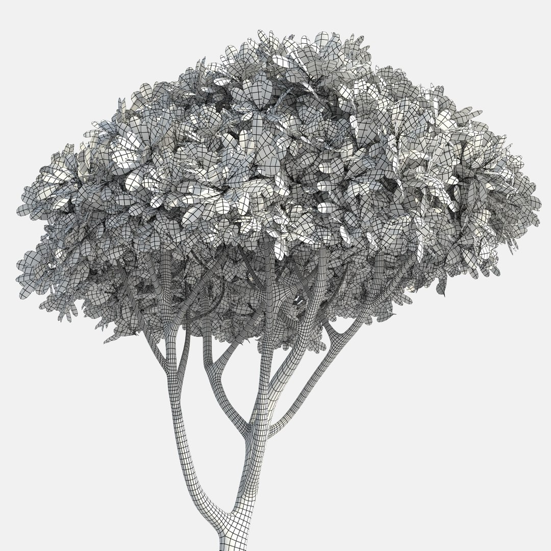 3d Modern Decorative Tree 2 Model