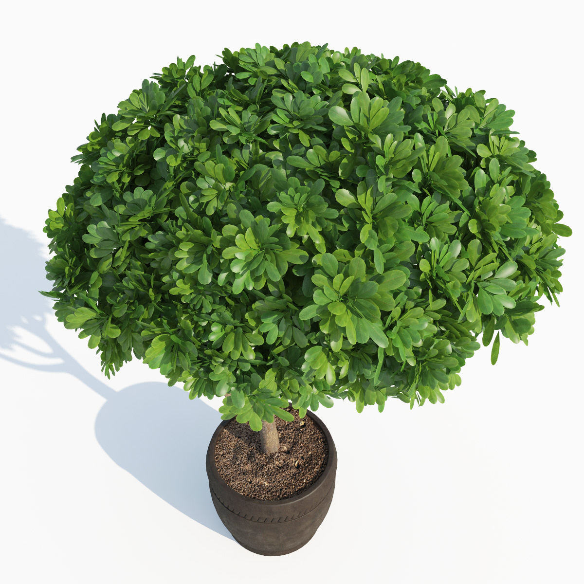 3d modern decorative tree 2 model