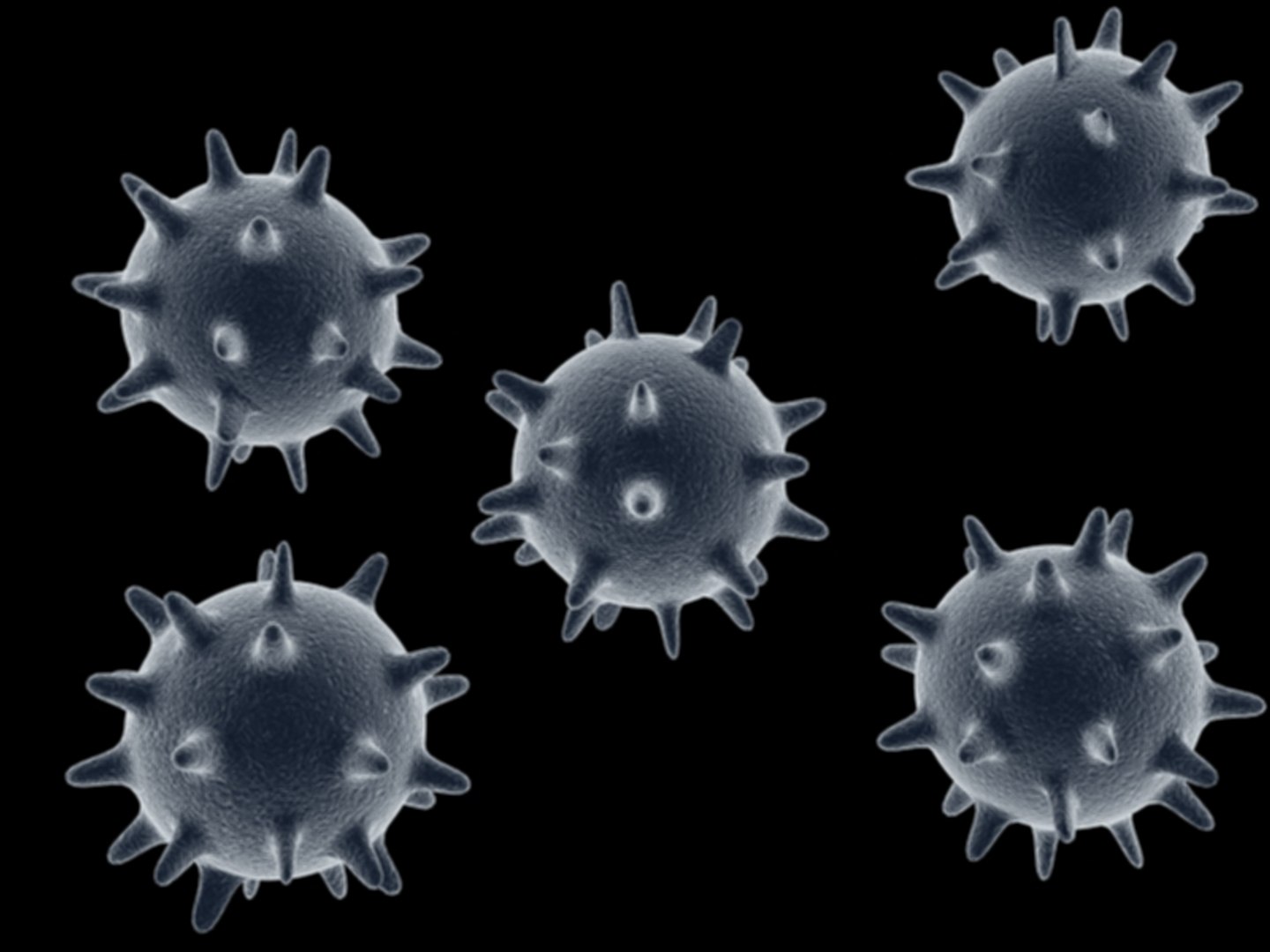 3d Electron Cell Microscopic Model