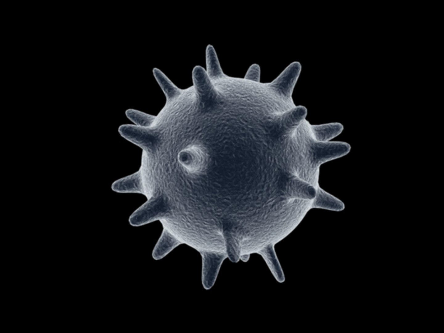 3d Electron Cell Microscopic Model