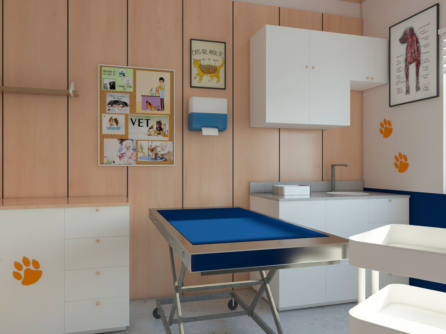 3D model Veterinary Clinic - TurboSquid 2130731