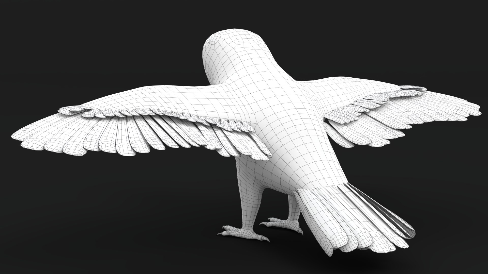 Barn owl animations 3D model - TurboSquid 1554043