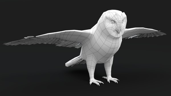 Barn owl animations 3D model - TurboSquid 1554043