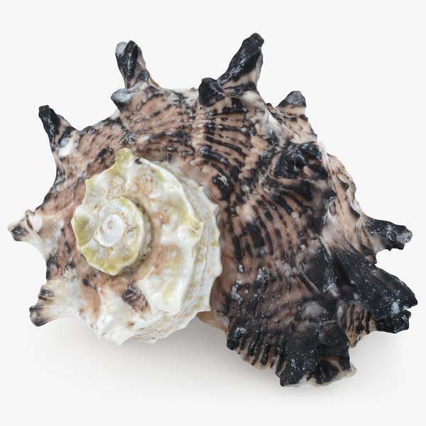 modelo 3d Angaria Delphinus 3 - TurboSquid 2214401