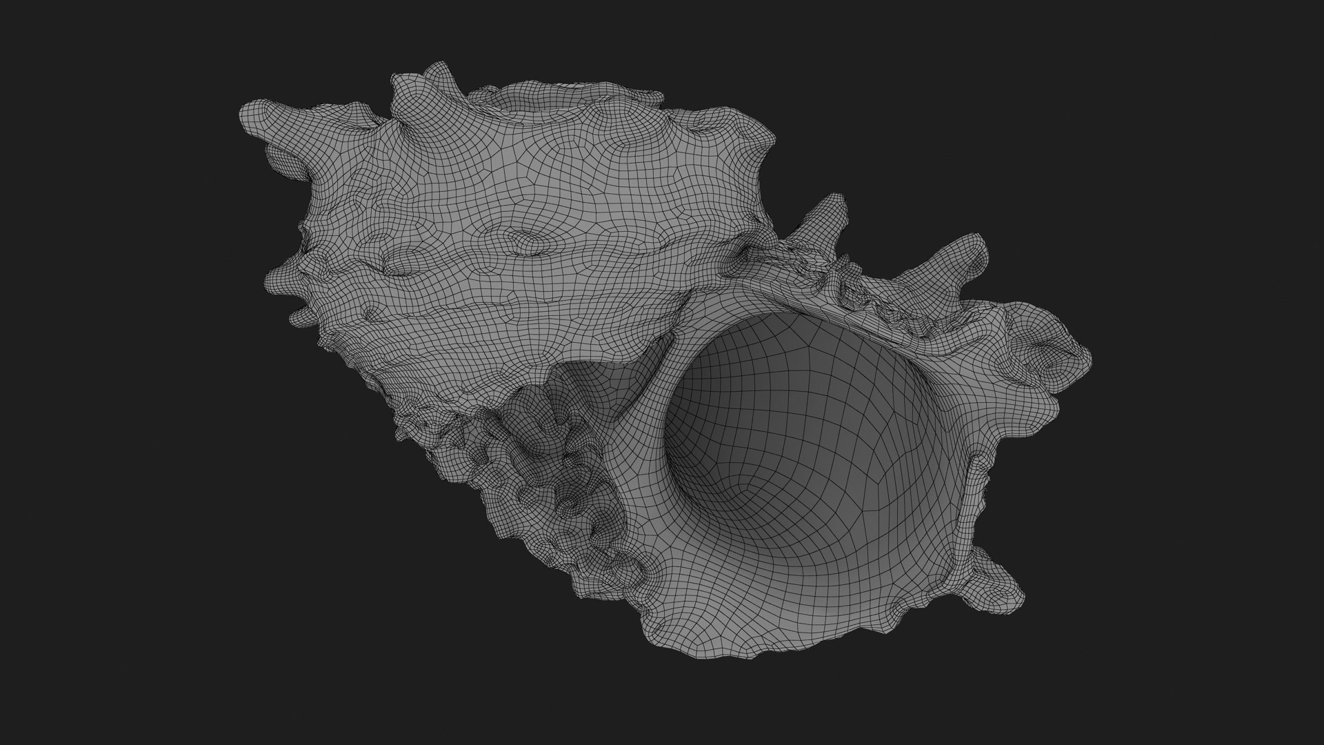 Angaria Delphinus 3 3D Model - TurboSquid 2214401