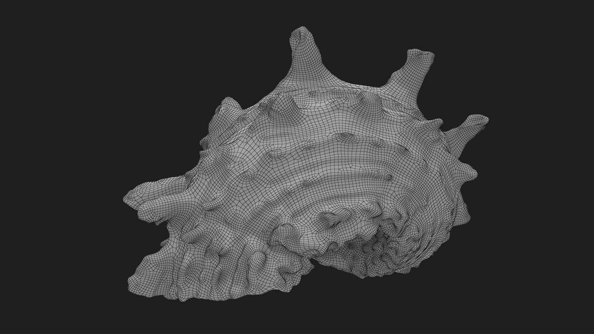 Angaria Delphinus 3 3D Model - TurboSquid 2214401