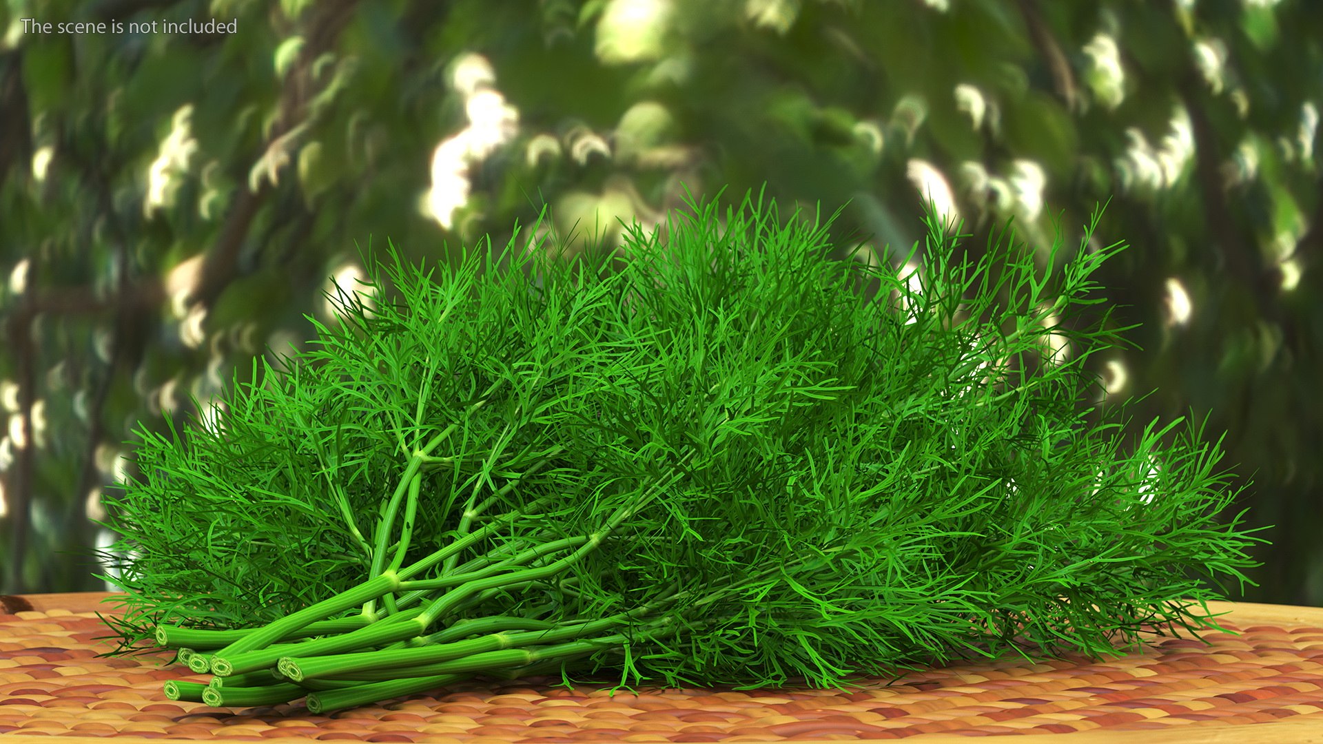 Dill Bunch 3D - TurboSquid 1894189
