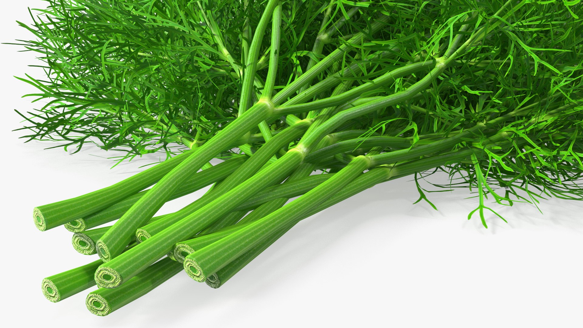 Dill Bunch 3D - TurboSquid 1894189