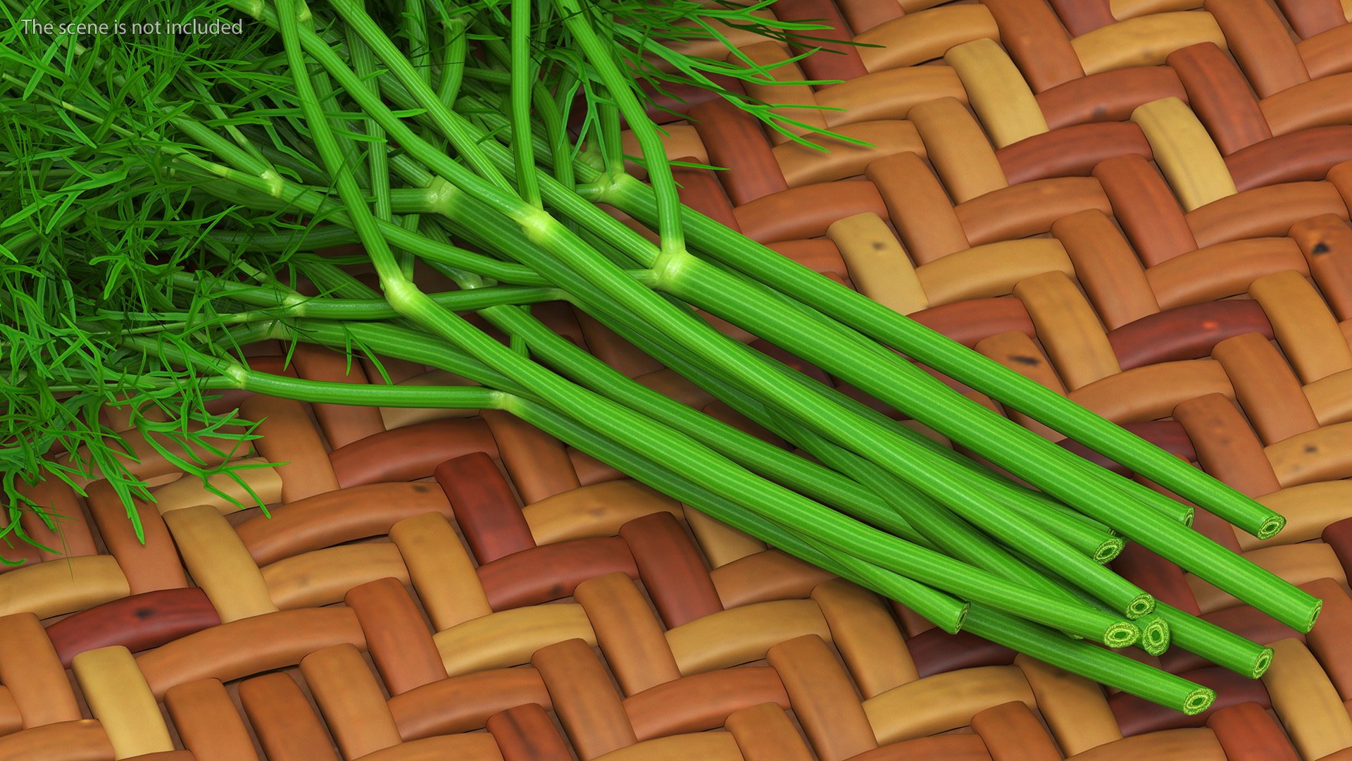 Dill Bunch 3D - TurboSquid 1894189