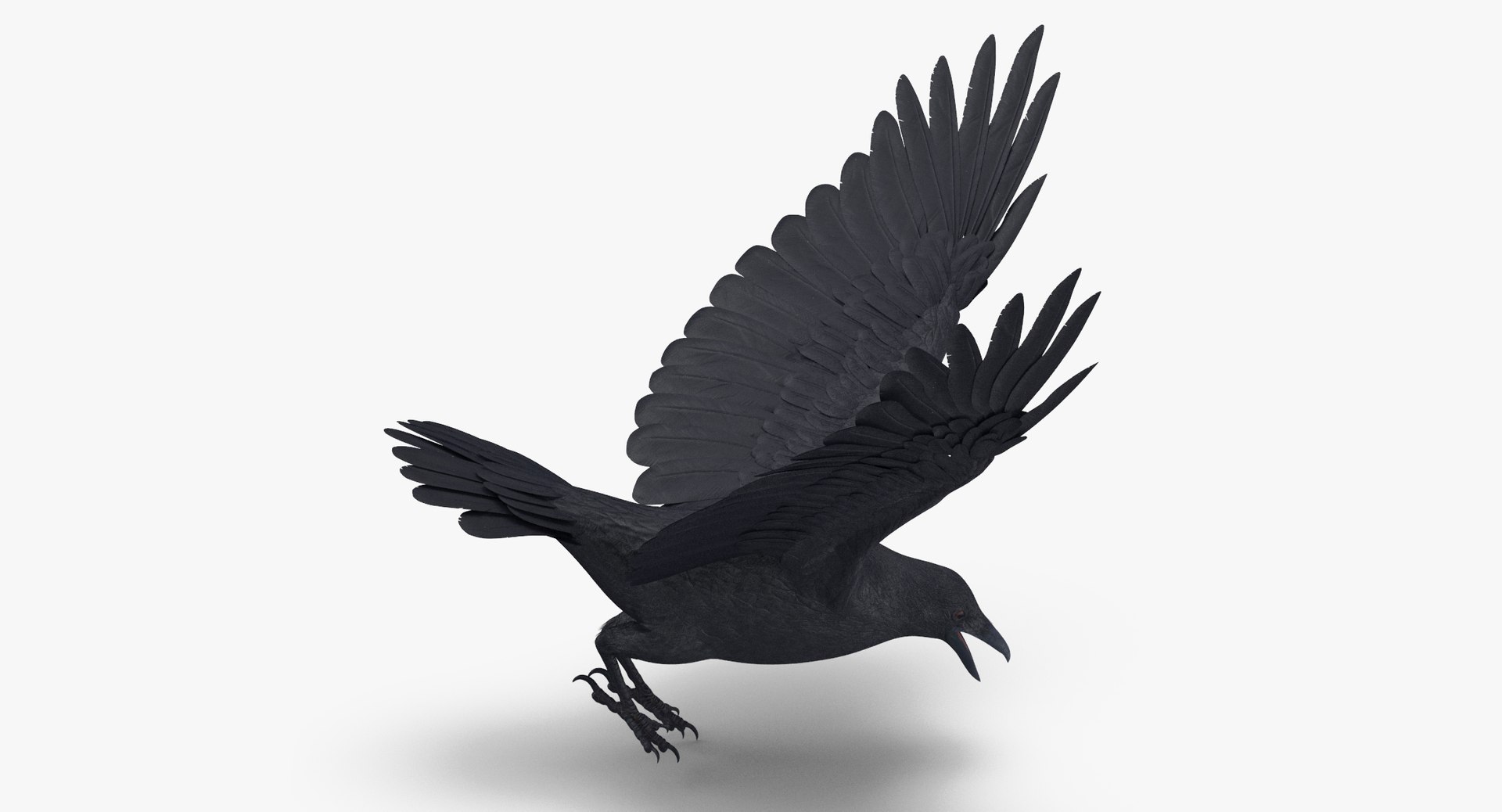 Crow 3 poses 3D model - TurboSquid 1190945
